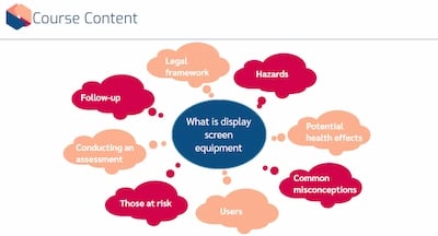 Display Screen Equipment Awareness Online Training Course - Flexebee